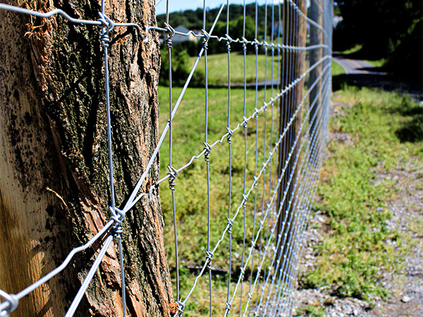 Fixed Knot Fence - Buy Fixed Knot Fence Product on Qingfa